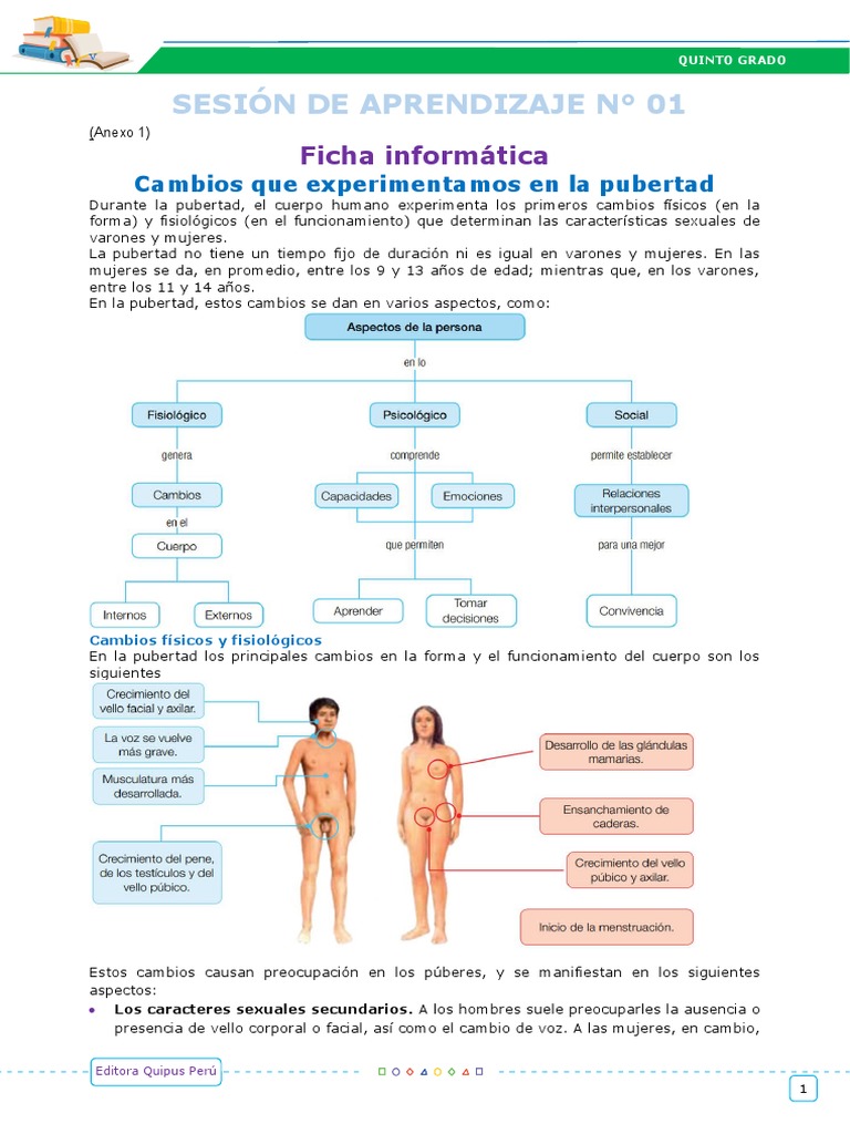 Anexo de Sesiones de Aprendizaje - EDA II Semana 1 | PDF