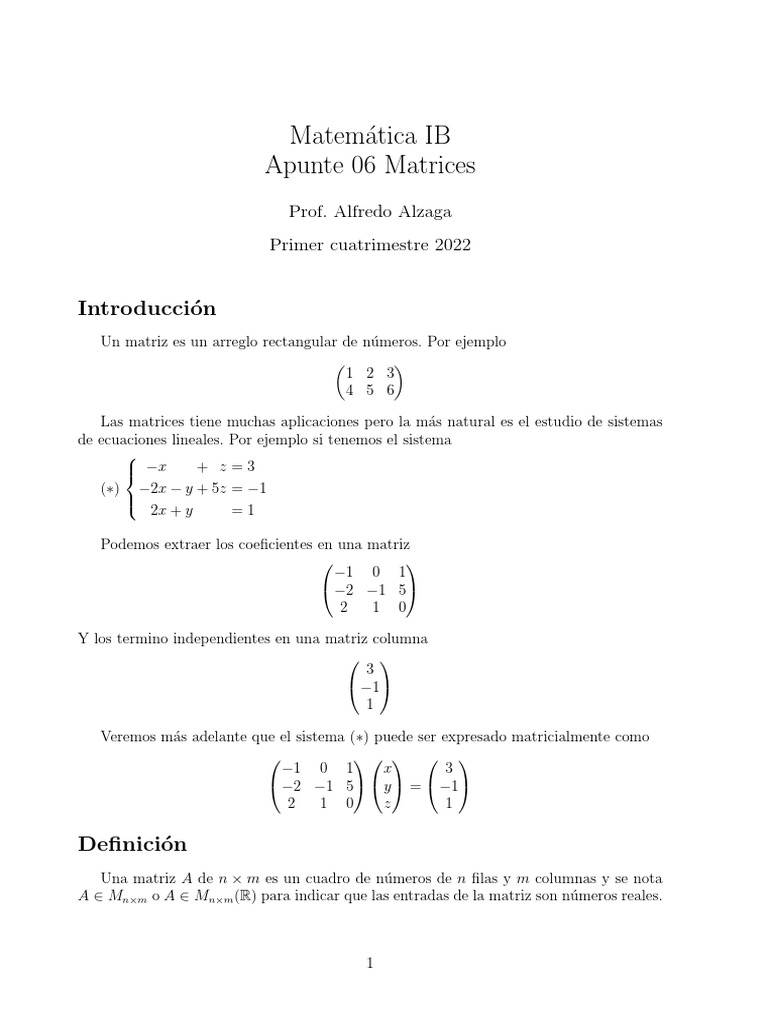 A06 Matrices | PDF | Matriz (Matemáticas) | Determinante