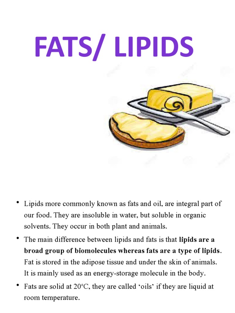 Fats | PDF