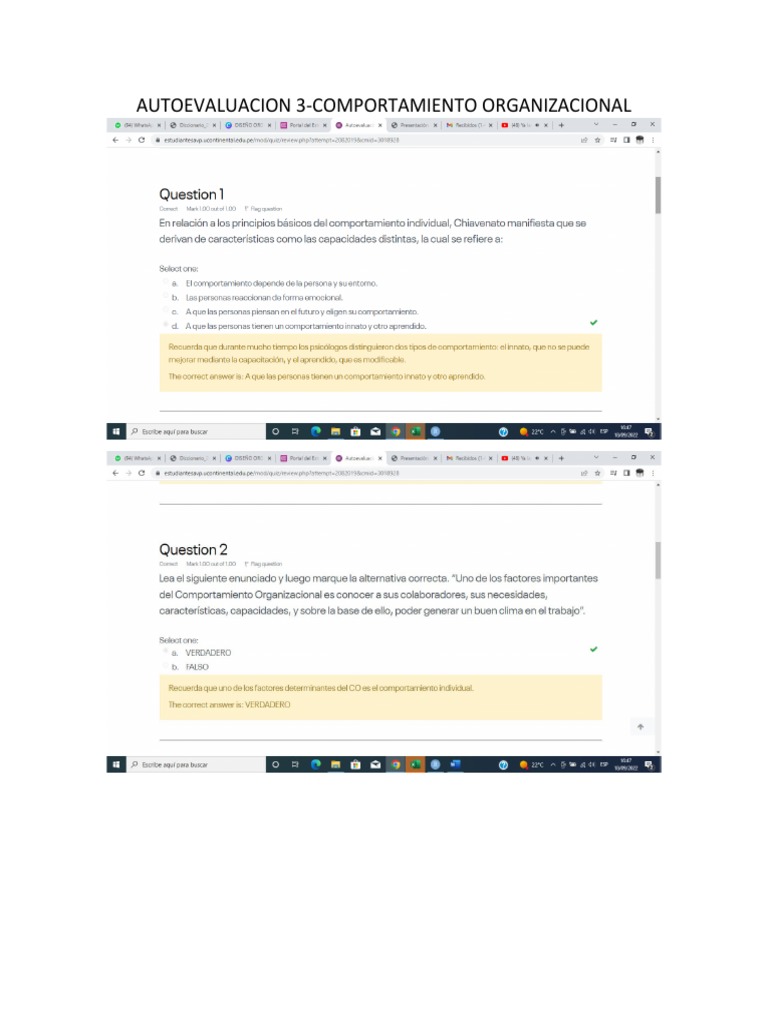 Autoevaluacion 3 | PDF