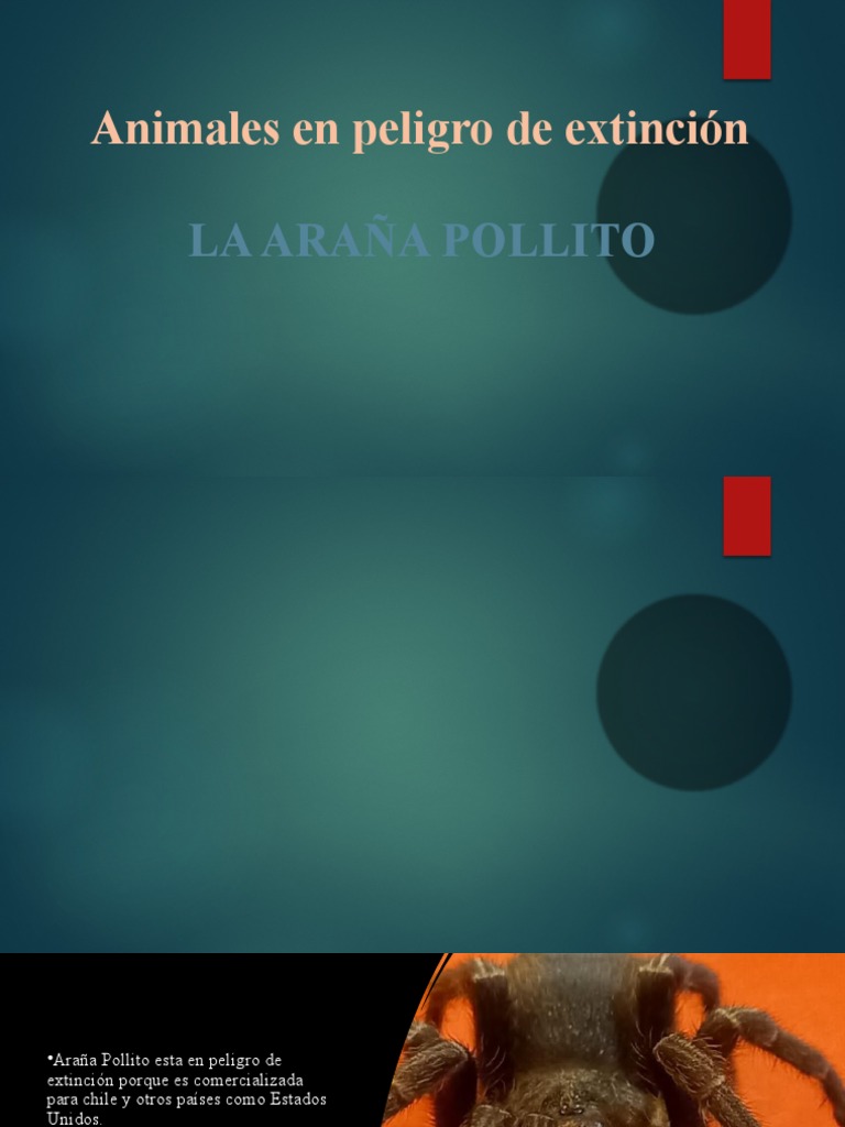 Araña Pollito | PDF | Tecnología | Historia