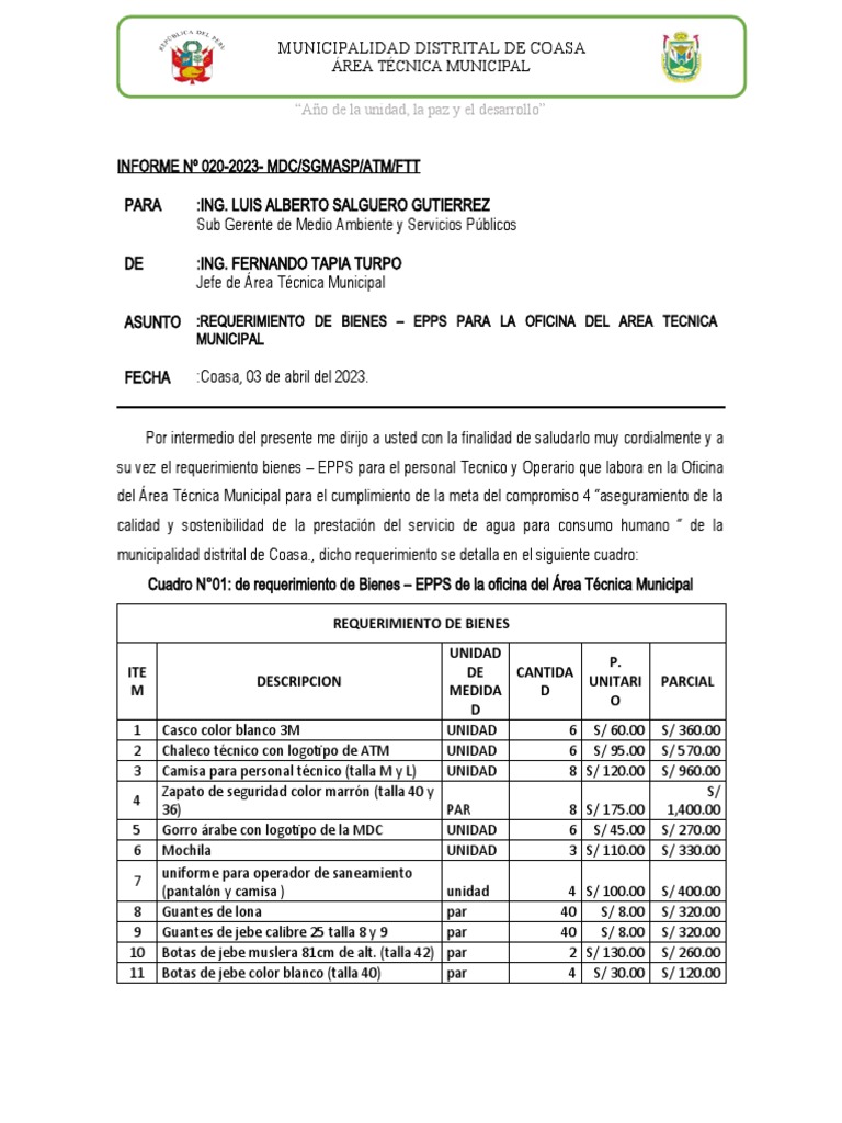 Informe 020 Requerimiento de EPPS de ATM | PDF