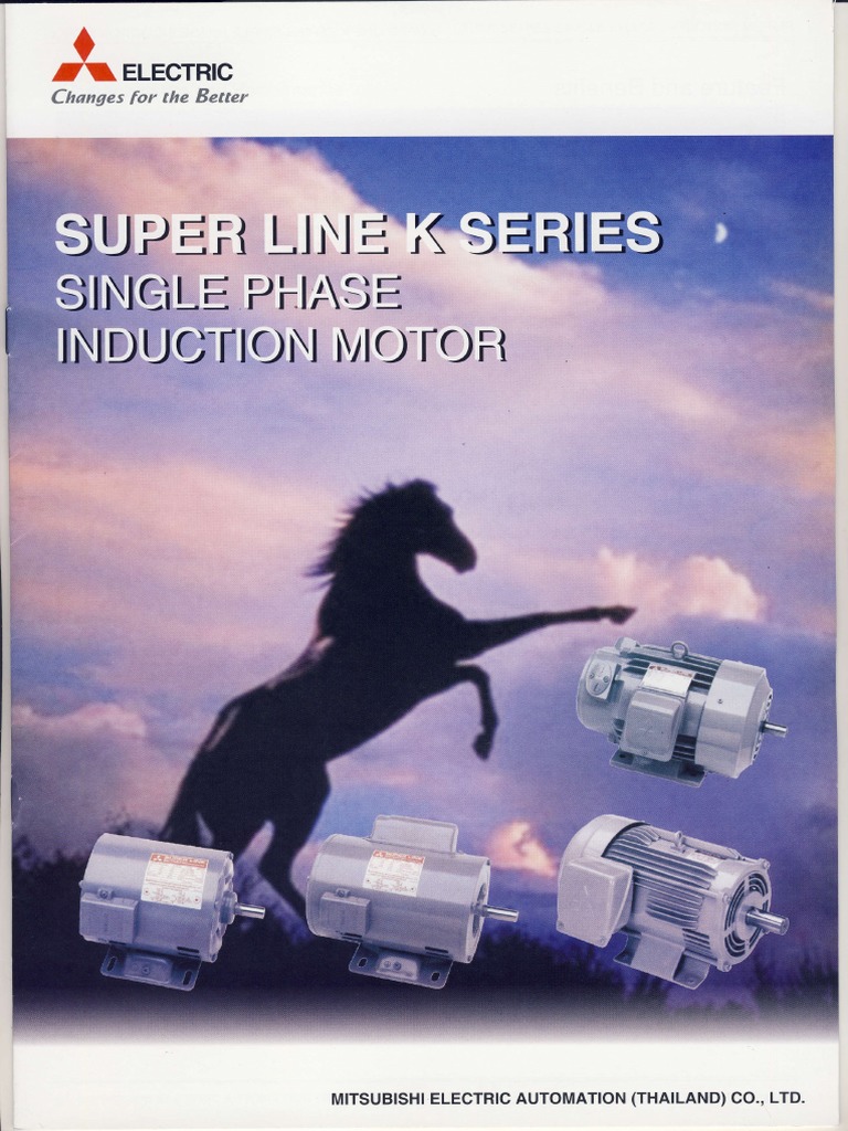ELECTRIC SUPERLINE SERIES SINGLE-PHASE INDUCTION MOTORS | PDF ...