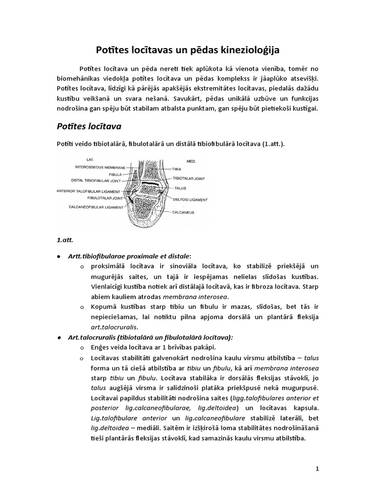 Izdales Materials Potite Un Peda | PDF