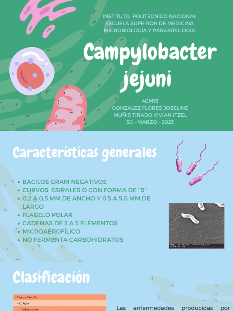 Campylobacter Jejuni | PDF