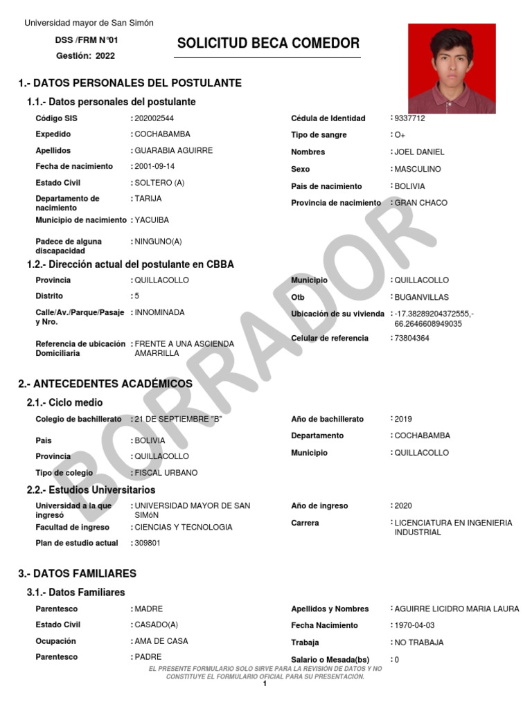Solicitud Beca Comedor: 1.-Datos Personales Del Postulante | PDF