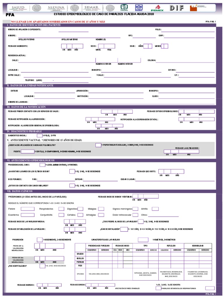 EE_FORMATO PFA_2018 | PDF
