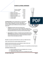 Tabla de Medidas para Dientes Permanentes | PDF | Anatomia dental | Diente