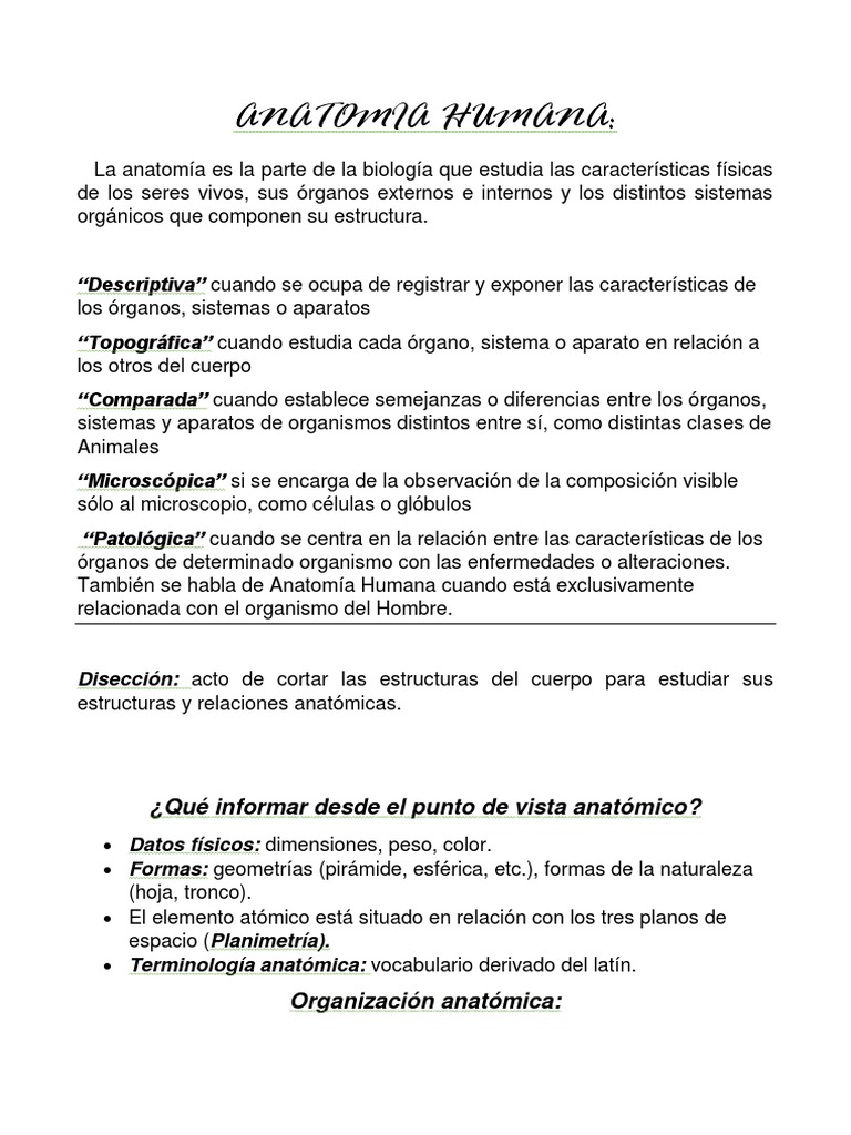 Resumen Final Anatomia I | PDF | Aorta | Hueso