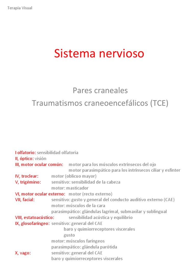Wuolah Free Tema 1 2 Sistema Nervioso y TCE | PDF | Lesión cerebral traumática | Especialidades ...