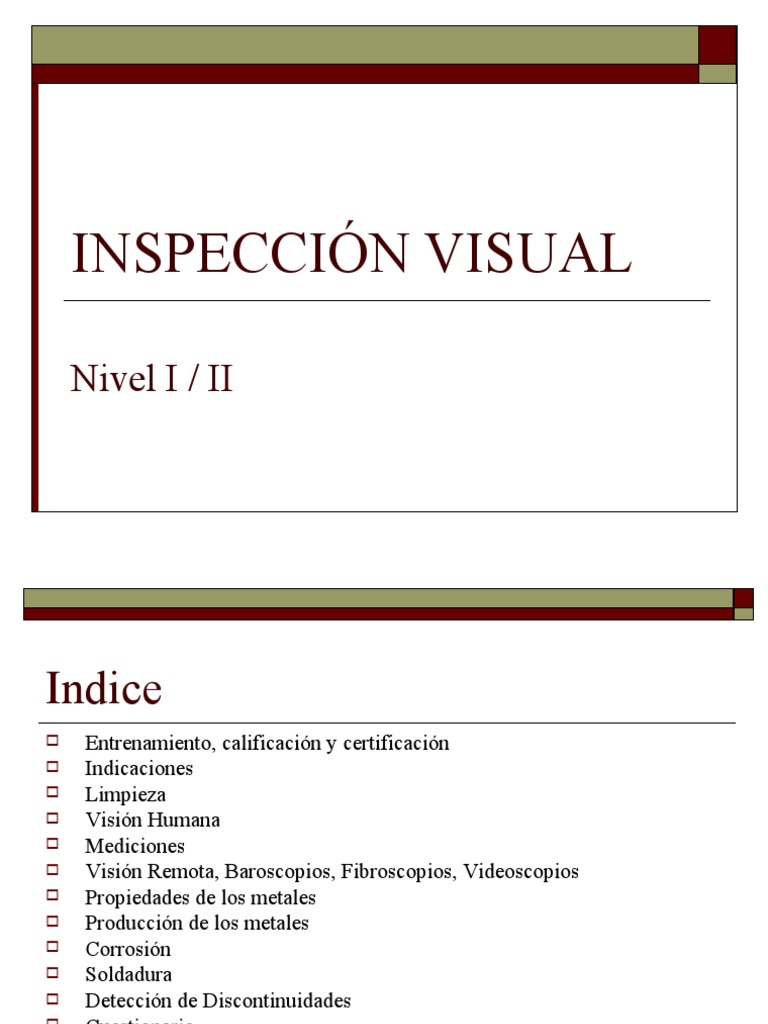 Inspeccion Visual | PDF