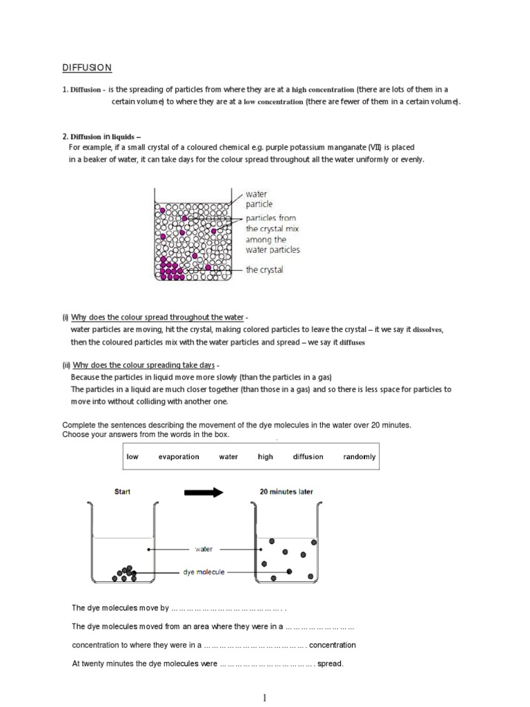 Diffusion in Liquids and Gases | PDF