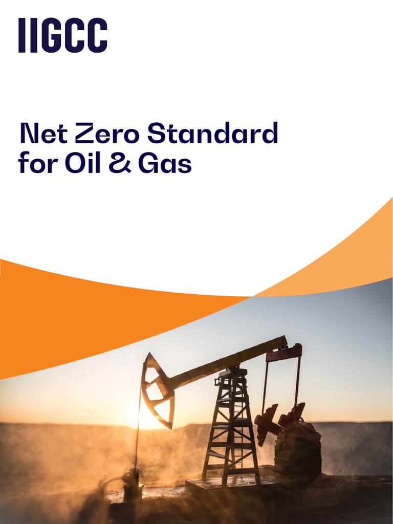 IIGCC Net Zero Standard for Oil Gas April23 | PDF | Low Carbon Economy ...
