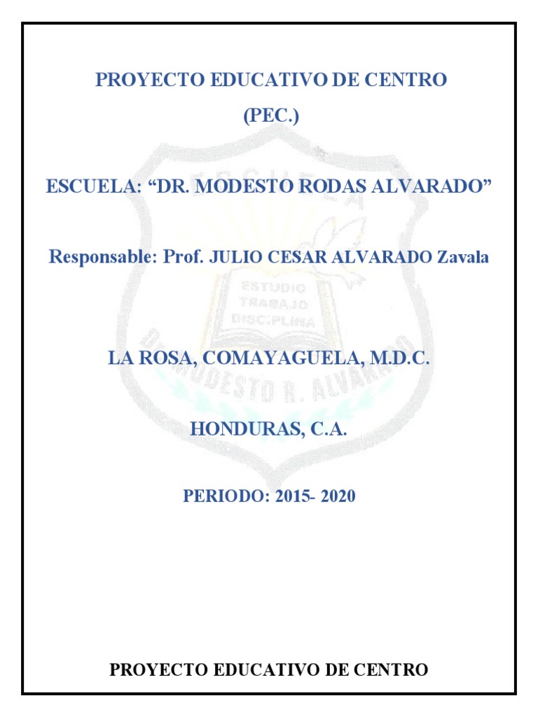 Pec Escuela Dr. Modesto Rodas Alvarado 2019 | PDF | Plan de estudios | Inclusión (Educación)