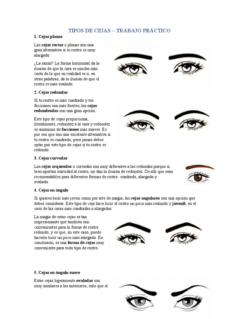 Tipos de Cejas - Trabajo Práctico | PDF | Ceja