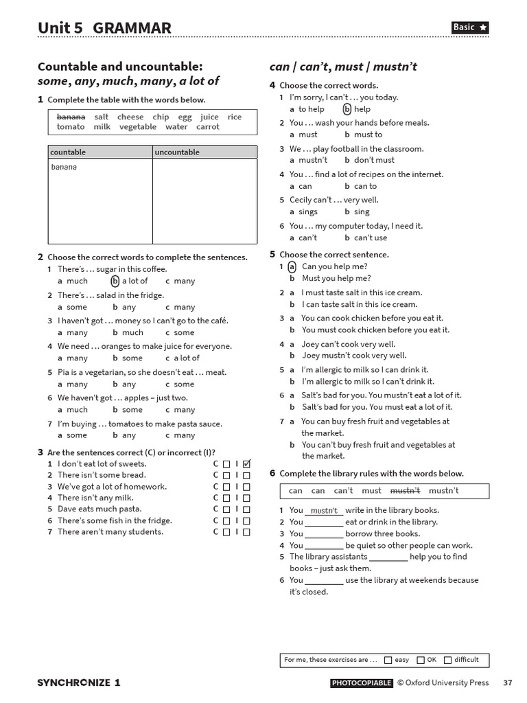 Synchronize1 TRB Worksheets Unit 5 Basic Grammar | PDF