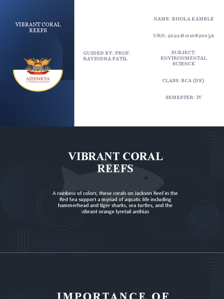 Vibrant Coral Reefs | PDF | Coral Reef | Coral