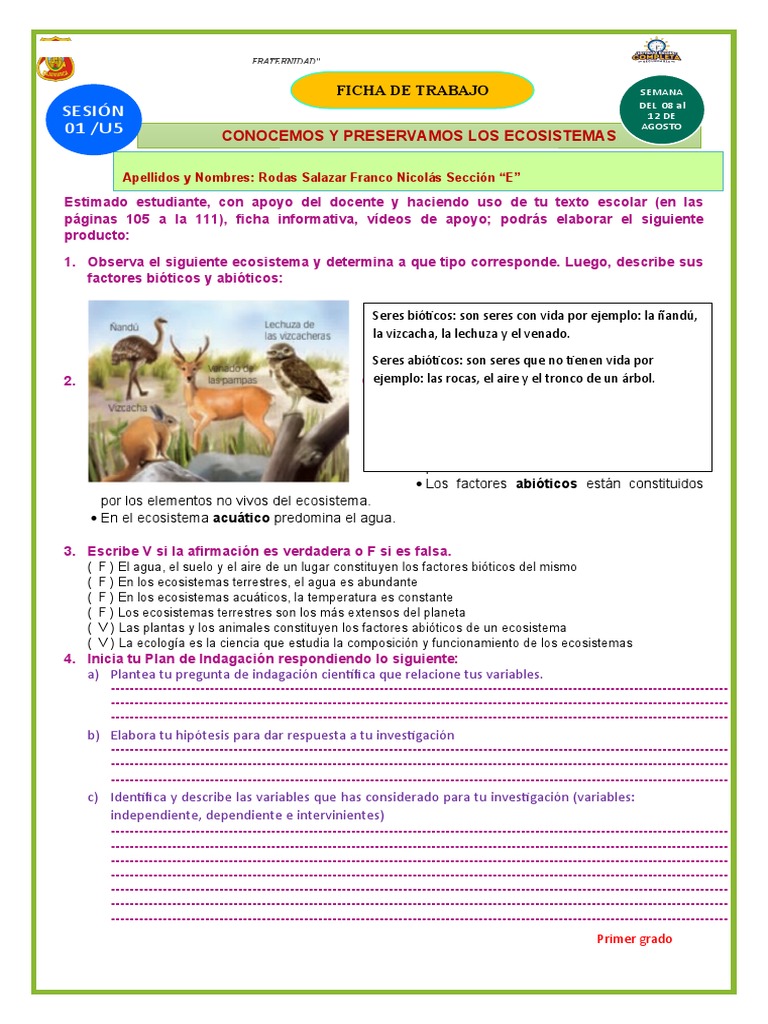 Ficha Trabajo - El Ecosistema | PDF | Ecosistema | Suelo