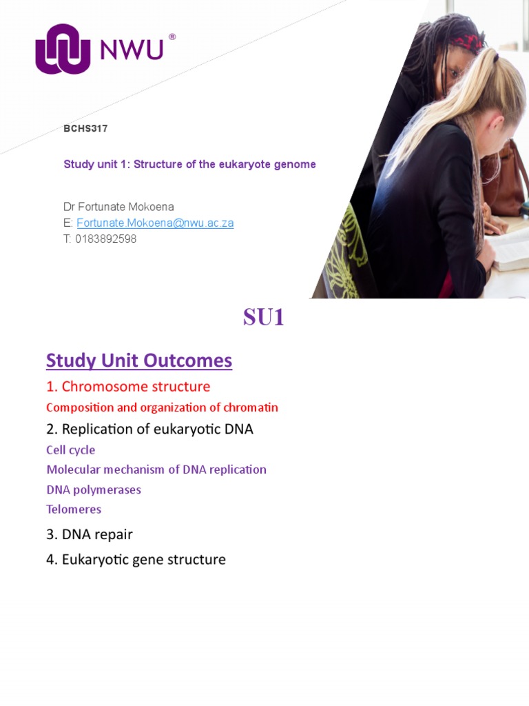 BCHS317 SU1.2 - DNA Replication - Mechanisms | PDF