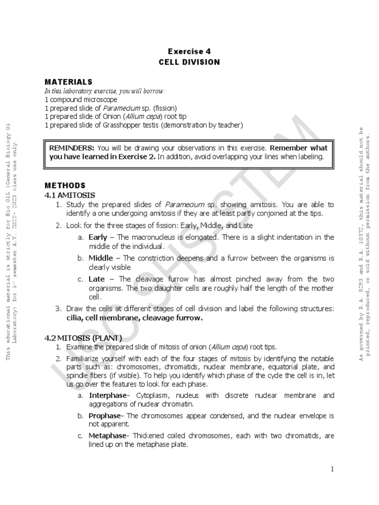Exercise 4 Cell Division Materials: in This Laboratory Exercise, You Will Borrow | PDF | Meiosis ...