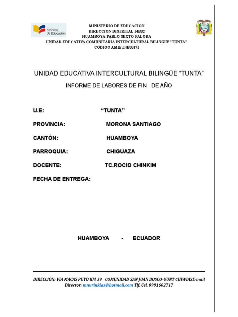 Informe Fin de Año | PDF