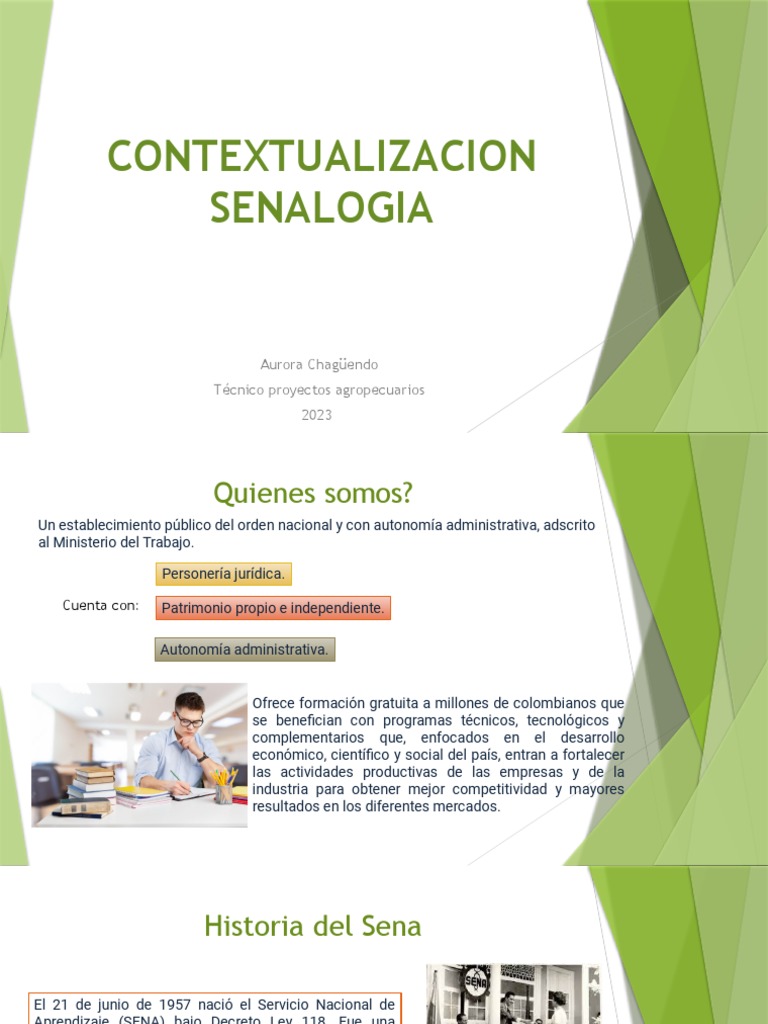 CONTEXTUALIZACION SENALOGIA | PDF