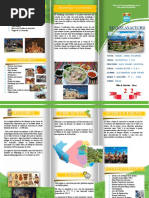 Triptico de Pasco | PDF | Alimentos | Naturaleza