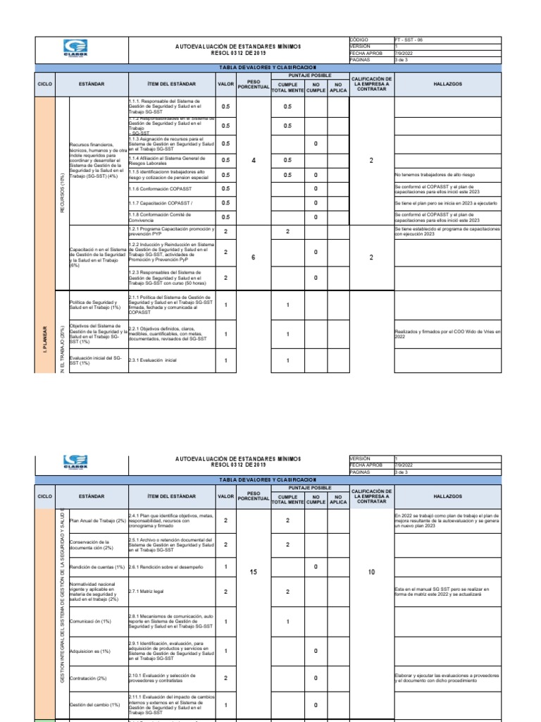 Autoevaluacion SST Estandares Minimos | PDF