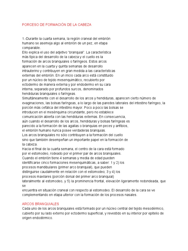 Formación de Arcos Branquiales Humanos | PDF | Branquia | Morfología ...