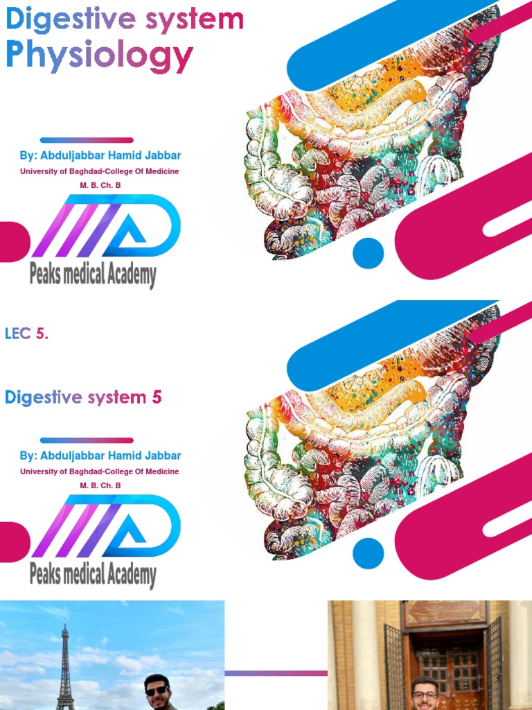 Physio 5. Digestive System 5 | PDF | Stomach | Digestion