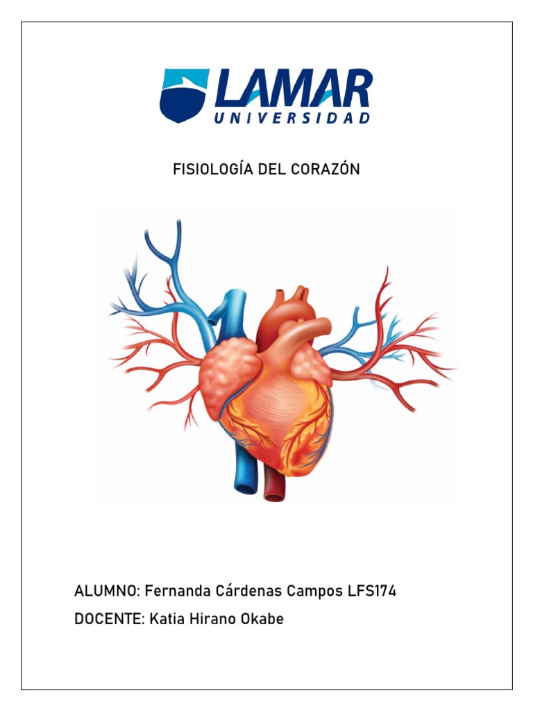 Fisiología Del Corazón Pdf Ventrículo Corazón Corazón