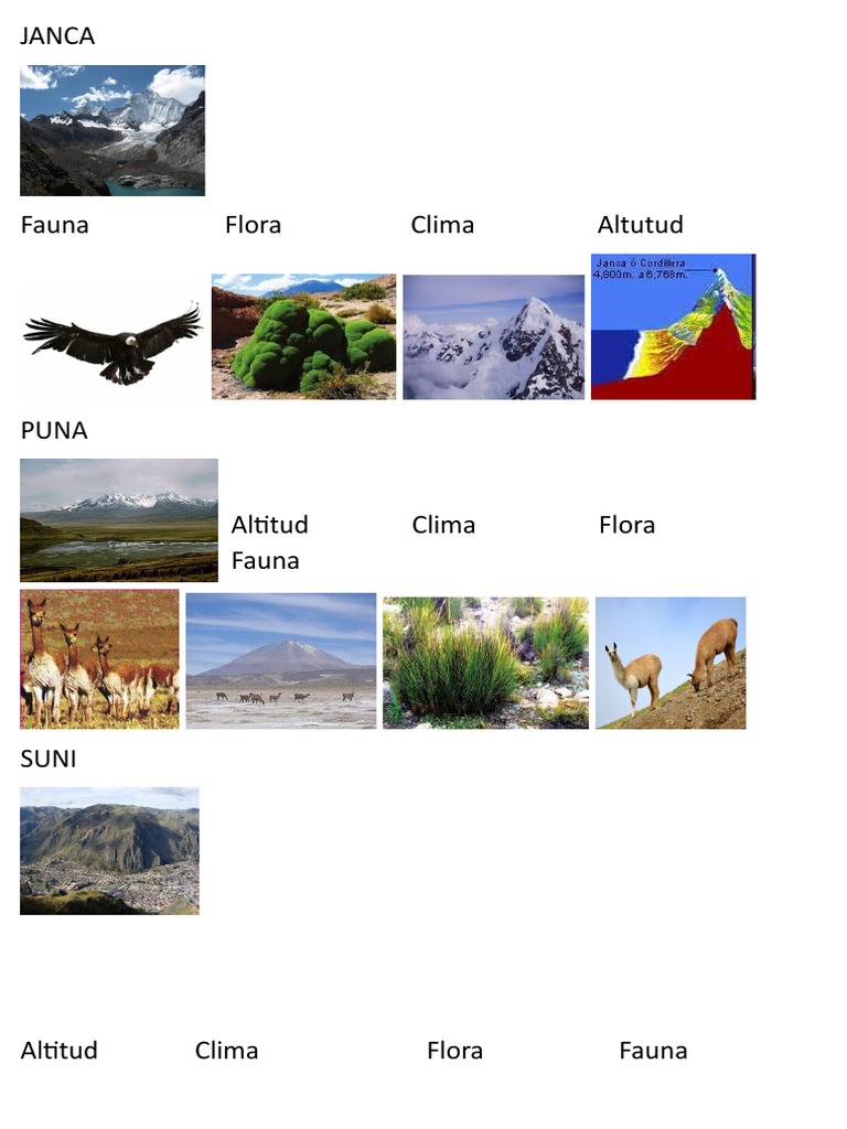 LAS 8 REGIONES Del PERU | PDF