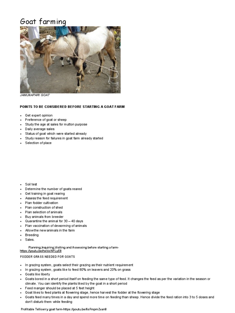 Goat Farming | PDF | Goat | Agriculture