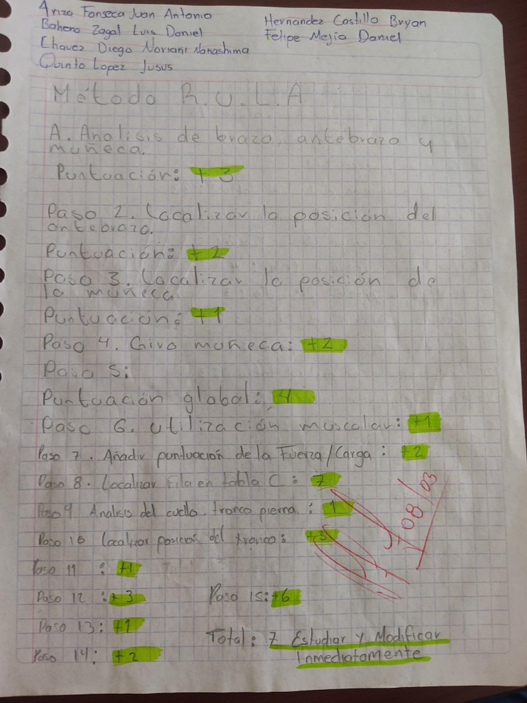 Ejercicios Rula, Reba y Owas | PDF