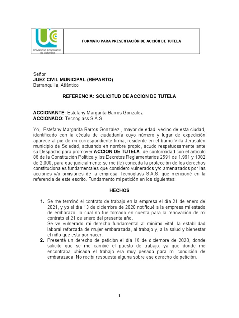 Formato de Accion de Tutelas | PDF