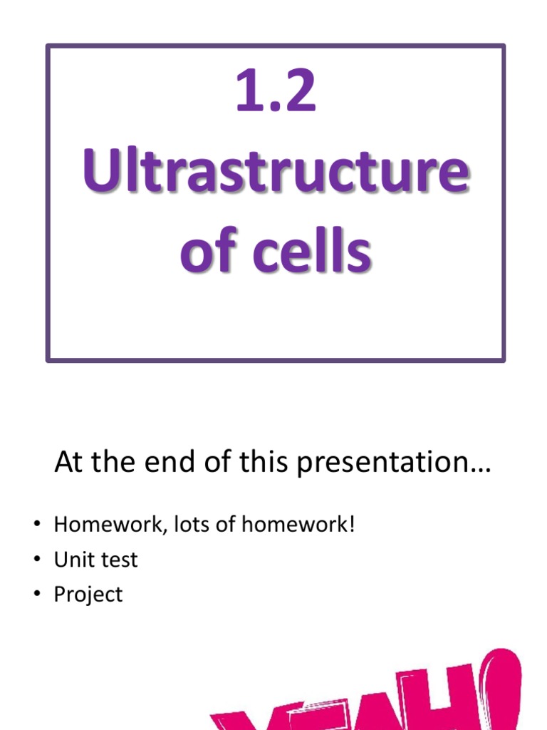 1.2 Ultrastructure of Cells | PDF | Endoplasmic Reticulum | Cell (Biology)