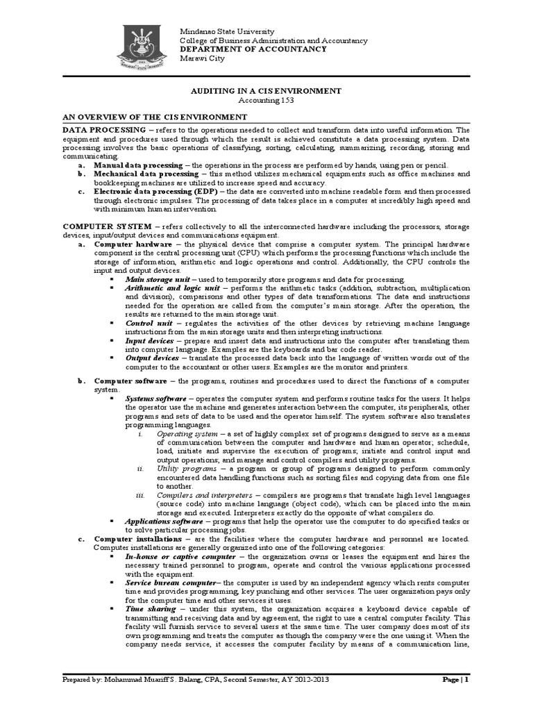 Auditing In A Cis Environment Hand Out Pdf Computer Network Programming 5320