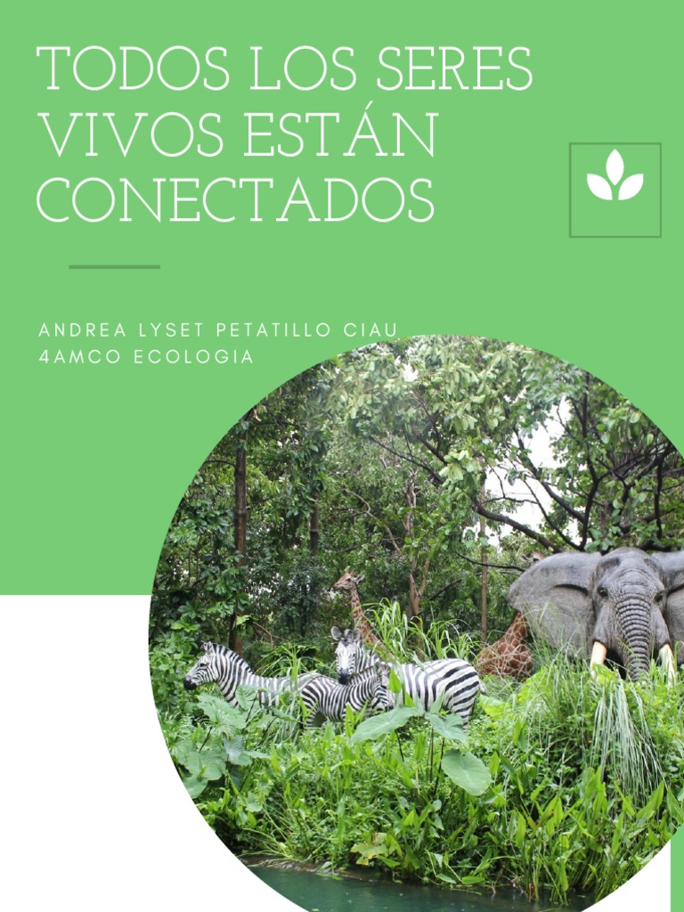 Todos Los Seres Vivos Están Conectados: Andrea Lyset Petatillo Ciau ...