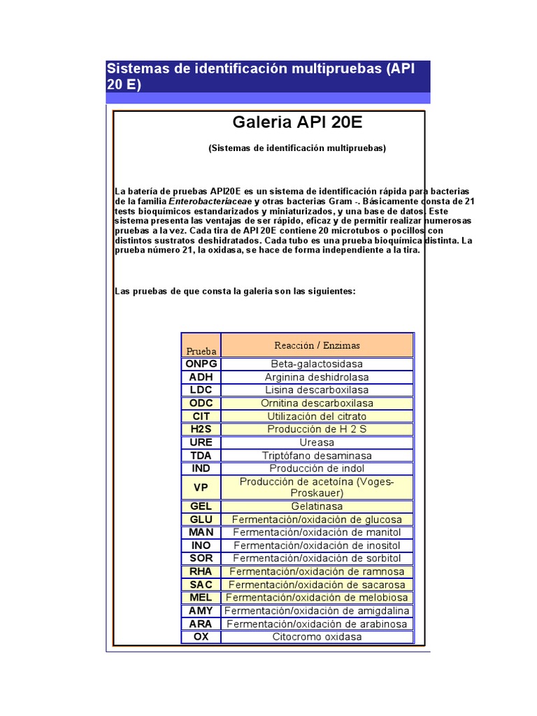 Identificación rápida con API 20E | PDF | Salmonela