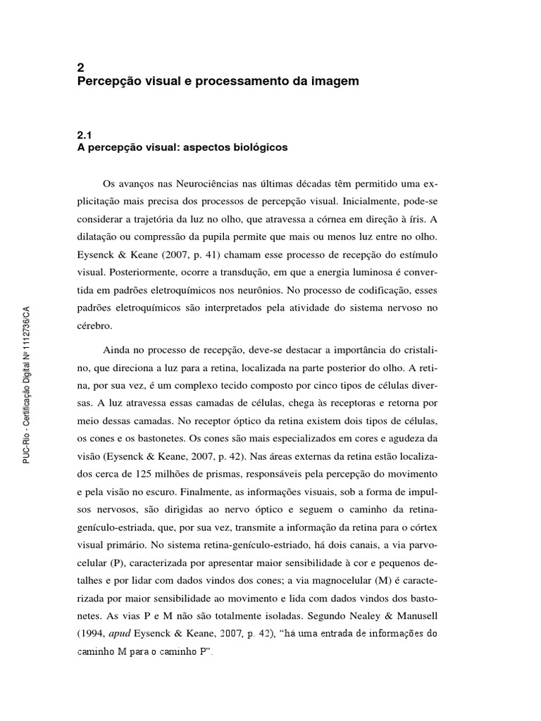 Percepção Visual e Processamento Da Imagem | PDF