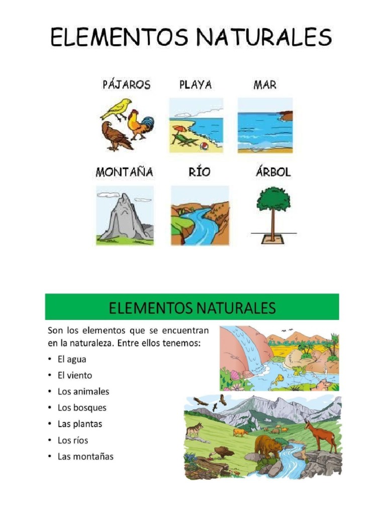 Elementos Naturales y Sociales | PDF