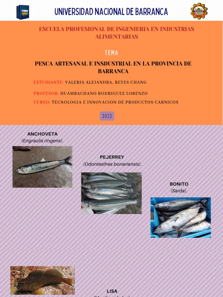 Pesca de Peses en El Puerto de Supe | PDF | Ciencia y matemáticas