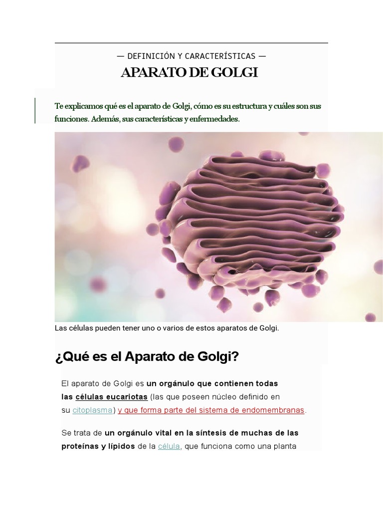 Aparato De Golgi Estructura Y Funciones Pdf