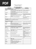 Common Bone Markings | PDF