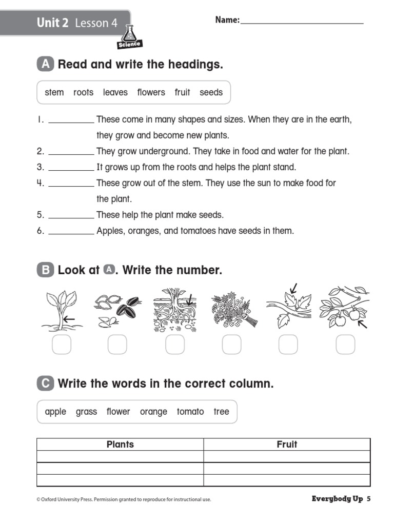 EU2e_L5_Unit2Lesson4_WKST | PDF