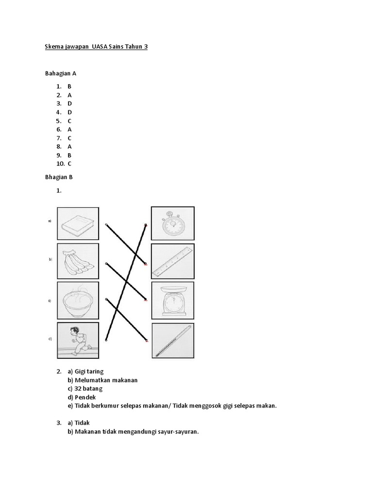 Skema jawapan sains t3 | PDF