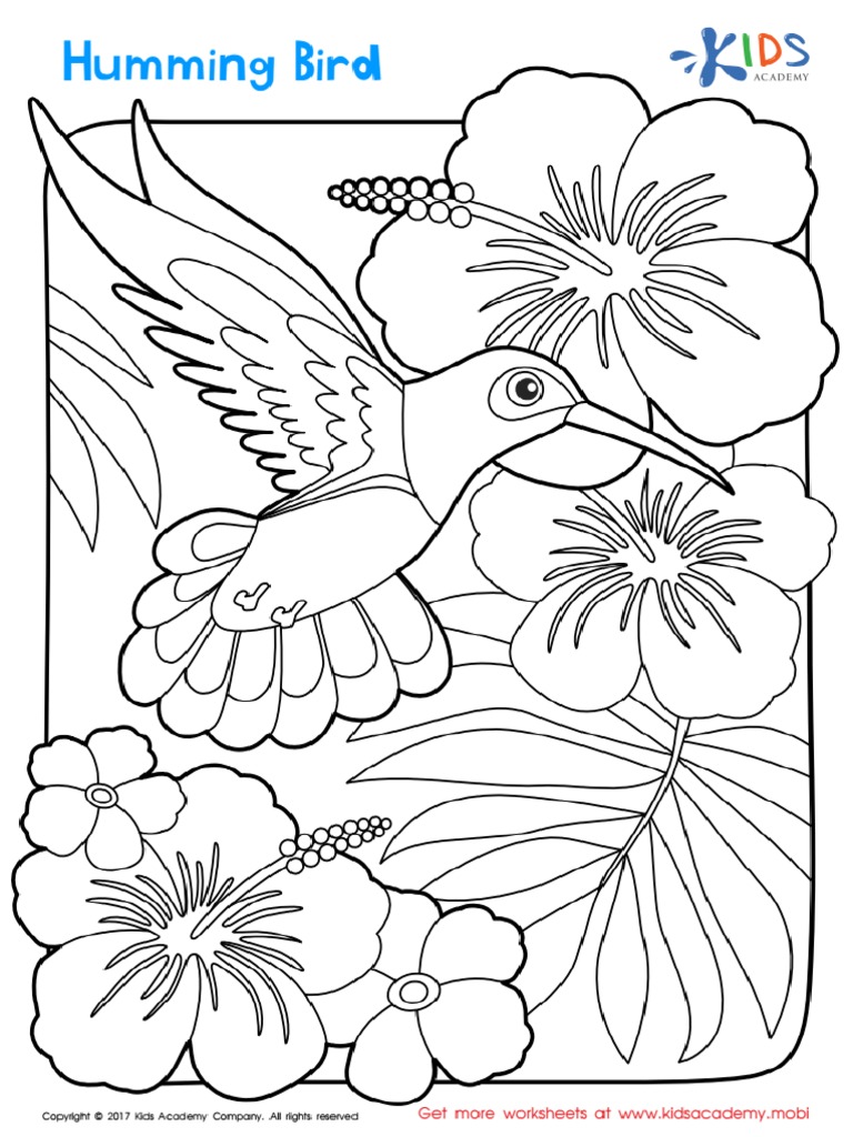 Coloring Worksheets | PDF