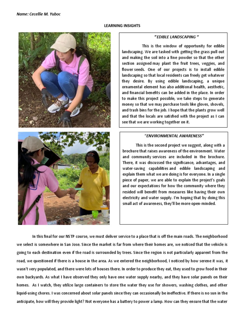 Learning Insights NSTP | PDF | Social Science