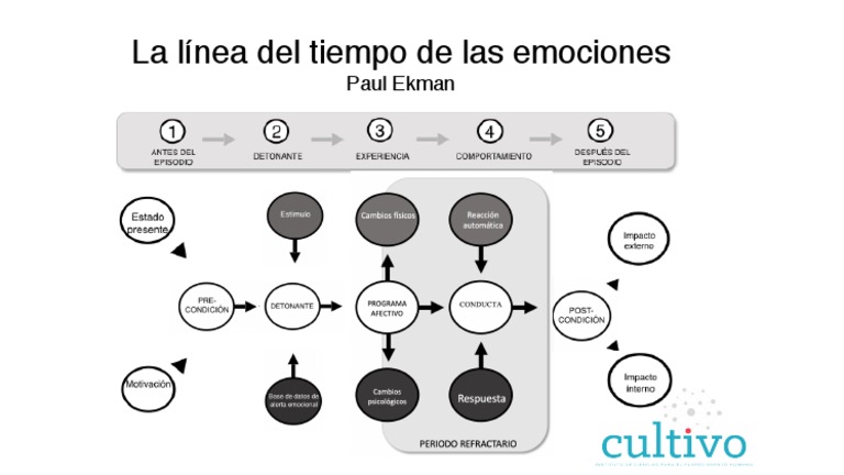 Línea Del Tiempo de Las Emociones | PDF