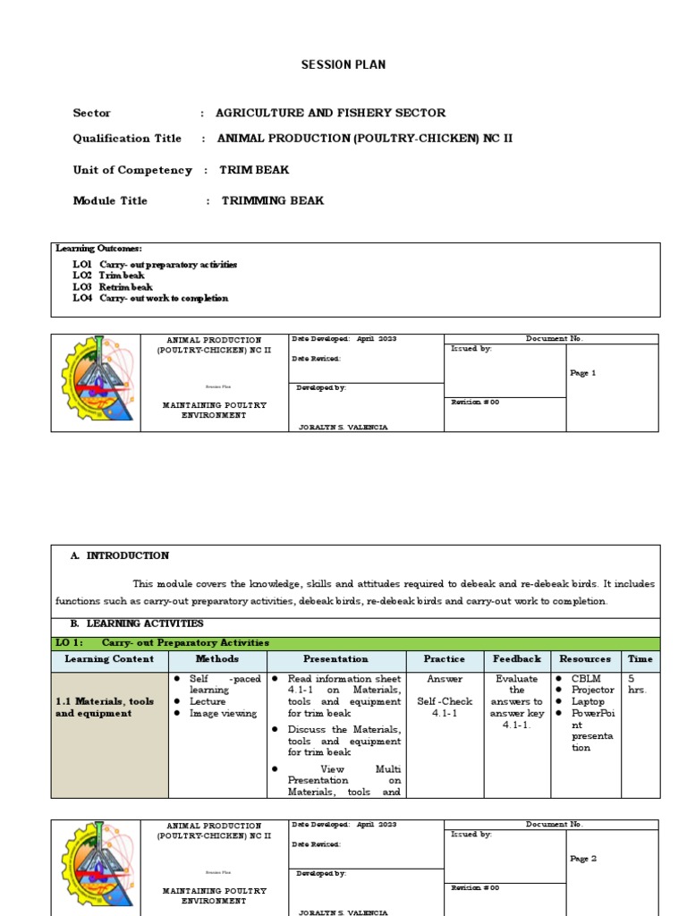 SESSION PLAN Task3 Valencia Joralyn | PDF | Cognitive Science | Behavior Modification